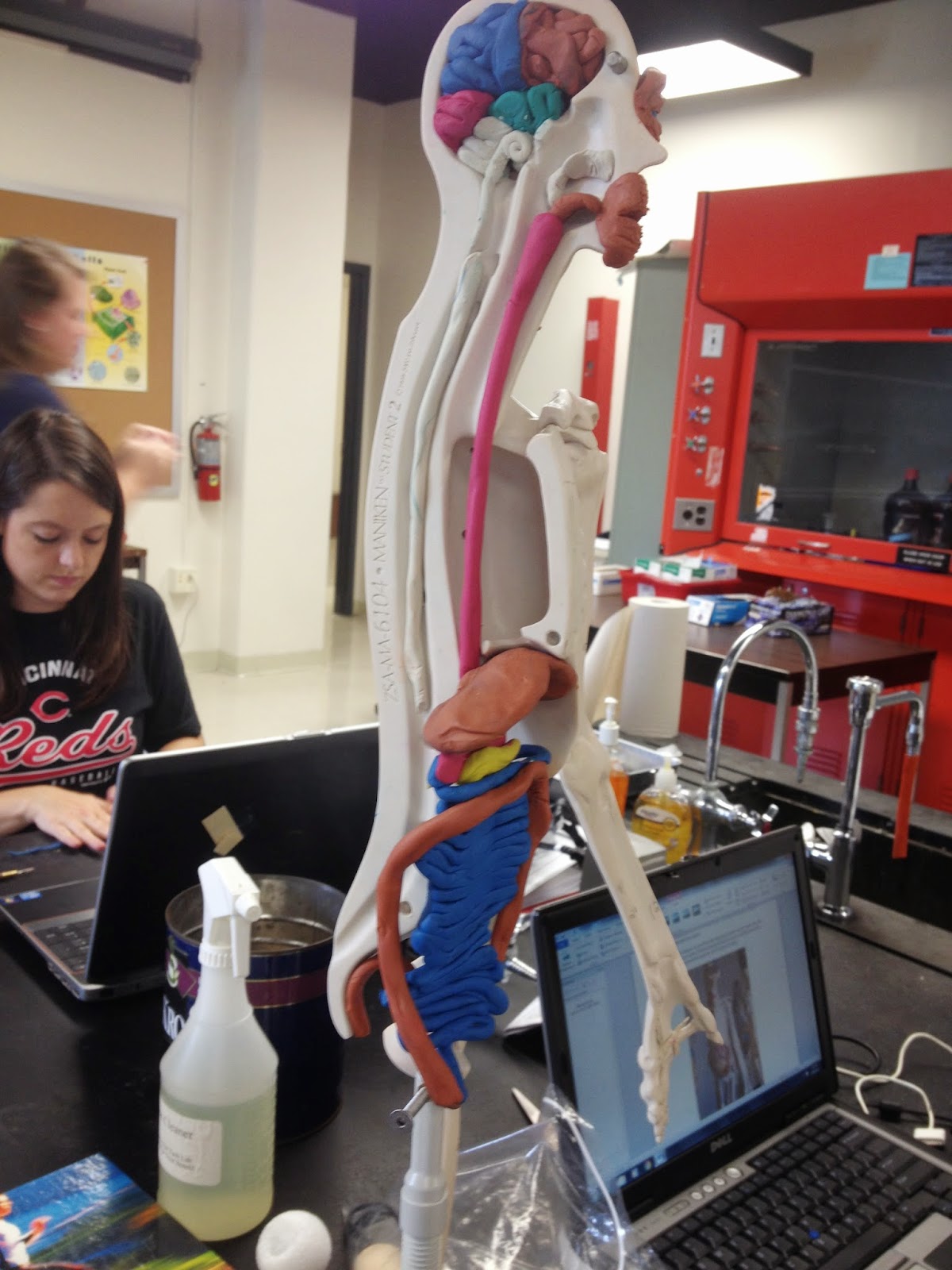 KCHS Biomedical Sciences: Newest PLTW Class at KC is Underway...