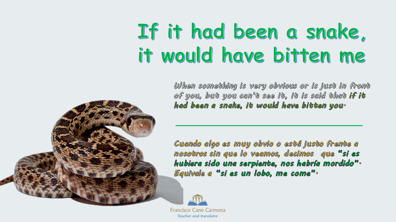 Estantes en el aula: Idioms (CXLIII): "If had been a snake..."