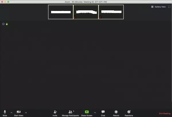 Cara Membisukan Peserta Rapat di Zoom Meeting (PC dan Aplikasi Seluler ...