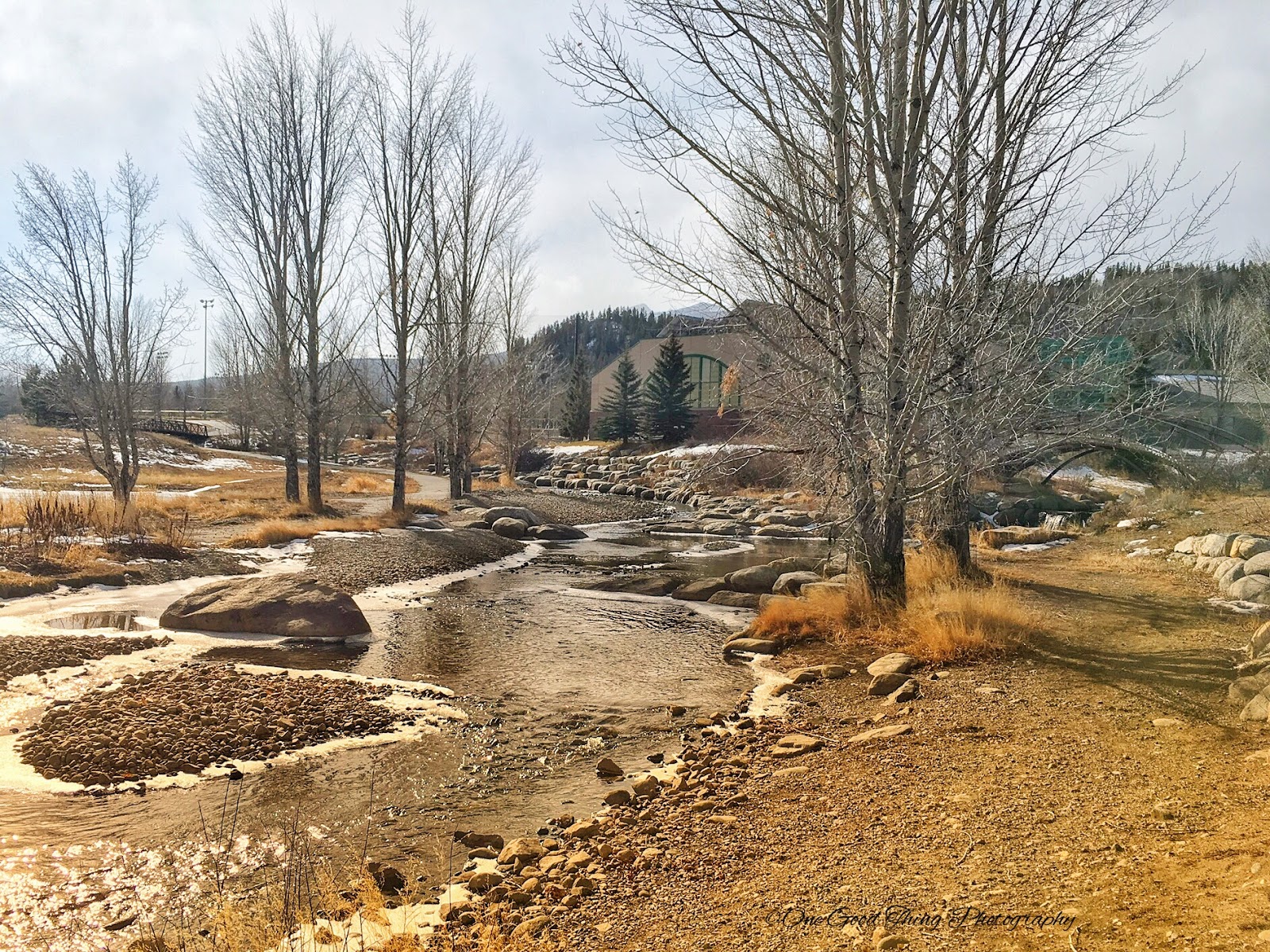 One Good Thing: Waiting for Snow