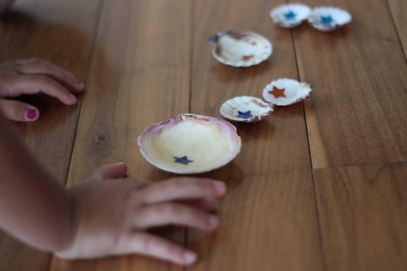 Playing House: DIY Sea Shell Matching and Memory Game