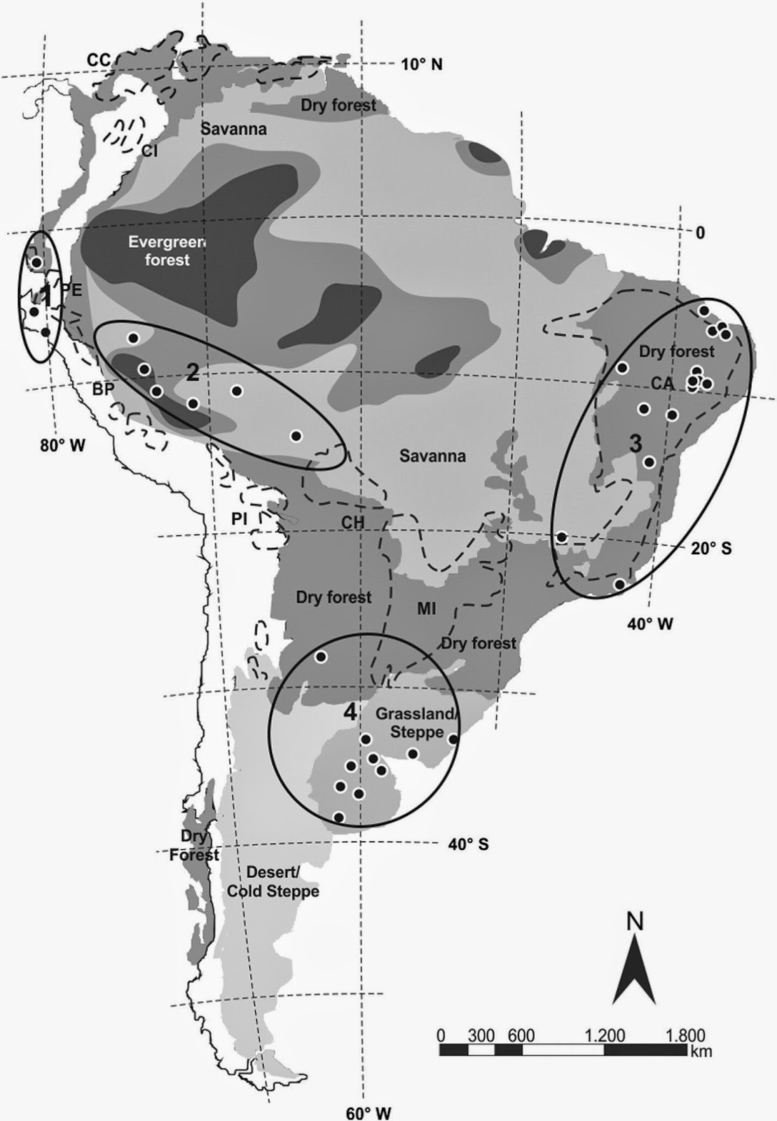 Paleontología y Evolución en la UCM: Cada bicho a su nicho. Las ...
