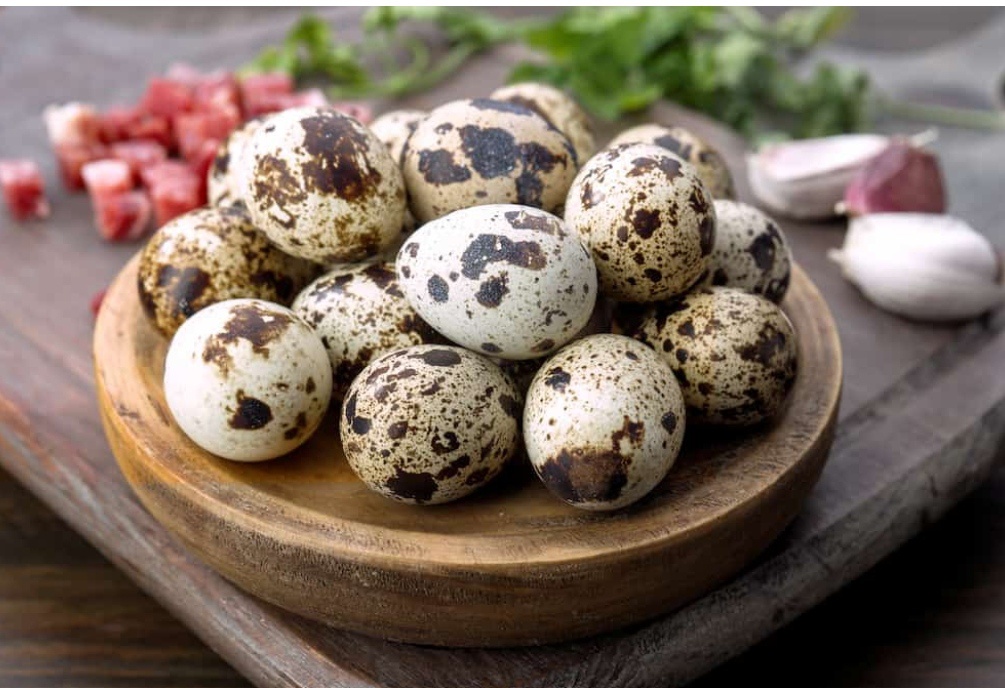 Quail eggs play an important role in our health.