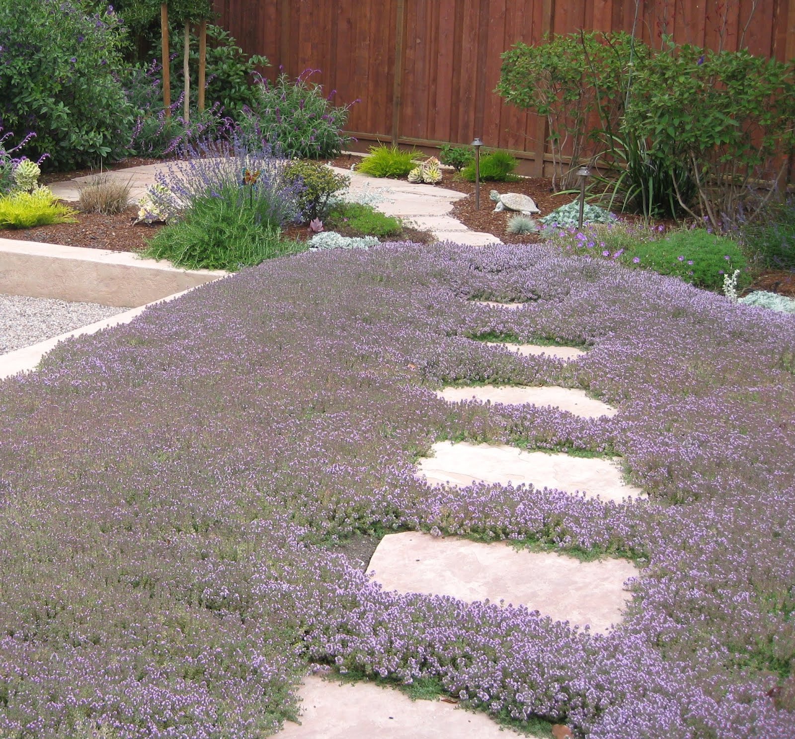 Astrid Gaiser Garden Design: Lilac Lawns – Or Why Water-Wise Rocks