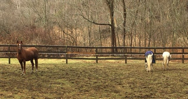 Dispatch from the Digital Health Frontier: Building Unity Farm ...