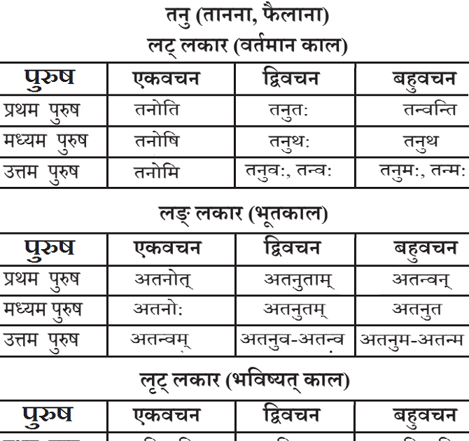 तनु धातु के रूप संस्कृत में – Tanu Dhatu Roop In Sanskrit | HindiVyakran