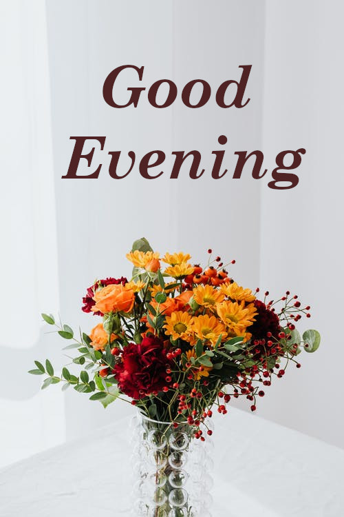 Top 10 Good Evening Images, Pictures, Photos, Greetings for WhatsApp ...