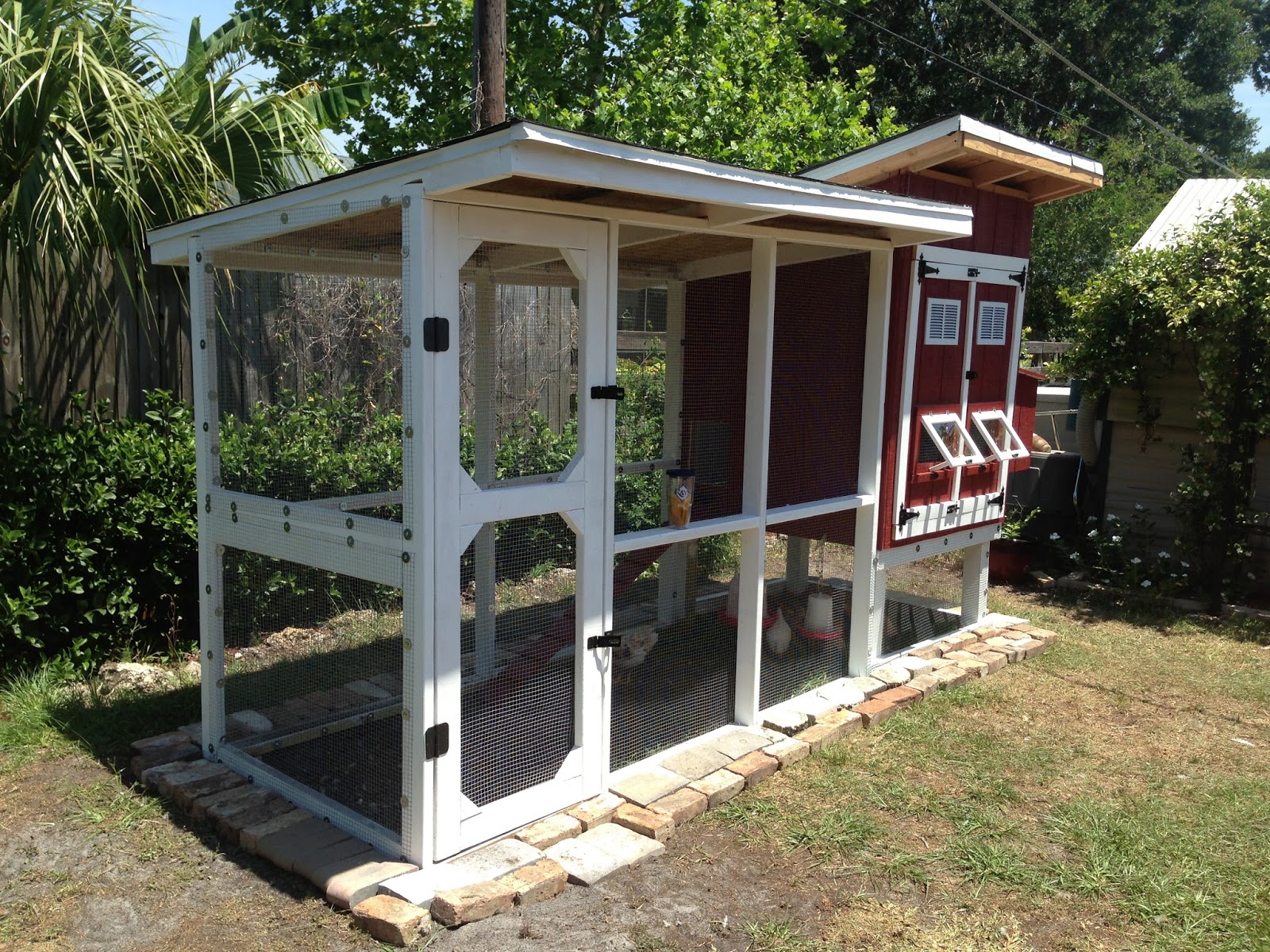 Vegetable Gardening in SW Florida: The Chickens Are Now On The Farm!