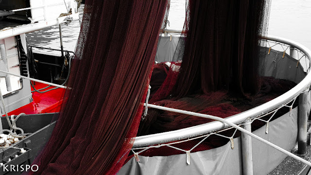 Enredada entre redes de pesca | Ikusi Batusi