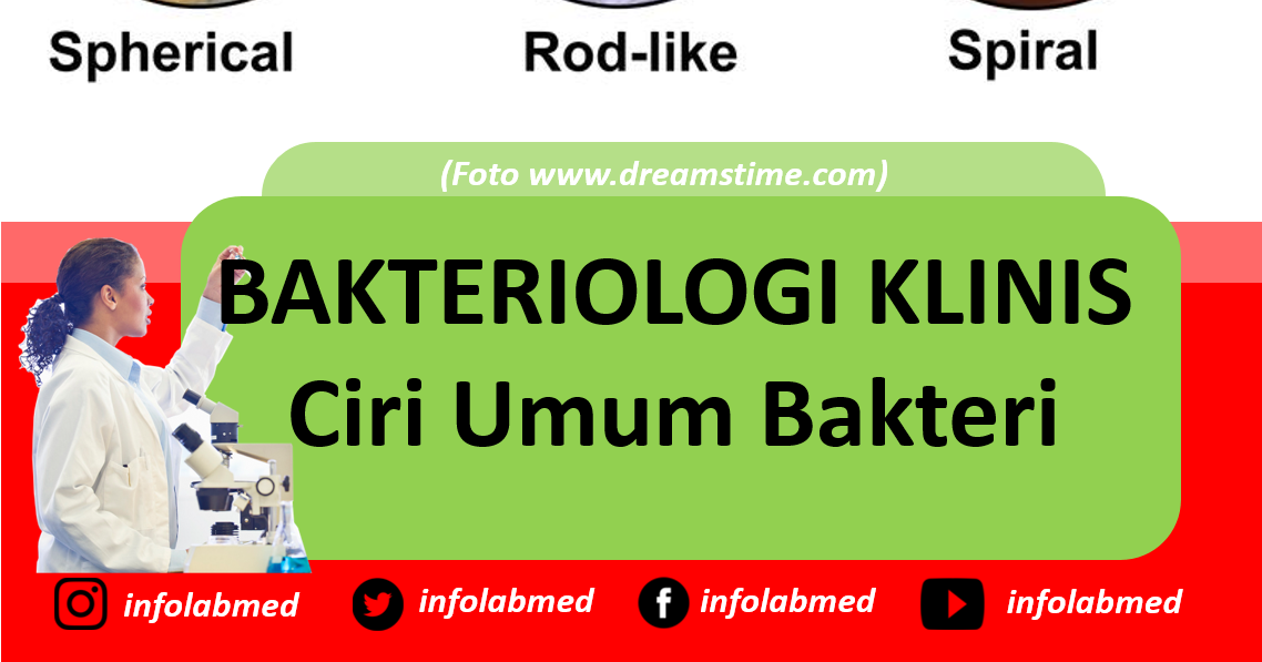 BAKTERIOLOGI KLINIS | Ciri Umum Bakteri