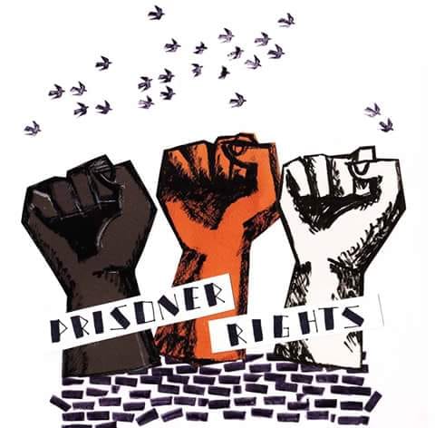 Why Am I Not Surprised?: 2018