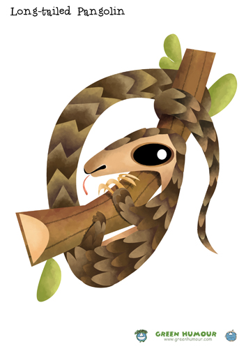 Green Humour: Pangolins of the World