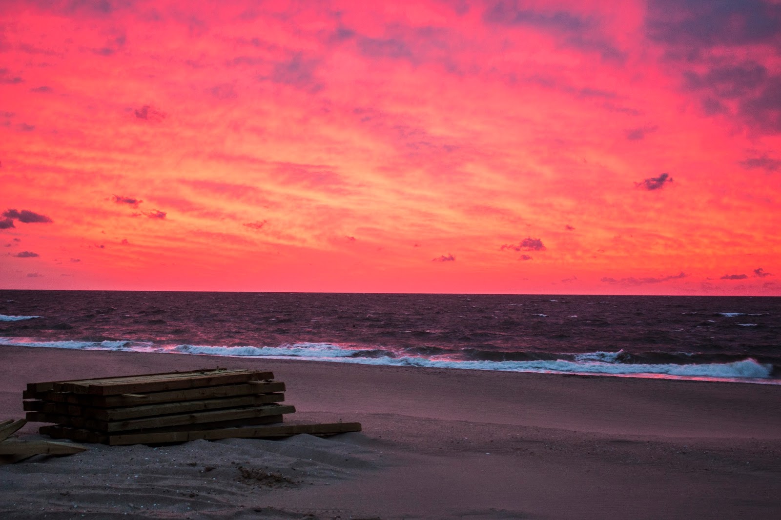 Natural Images by Sally Vennel: THE HOT, HUMID SUMMER CONTINUES