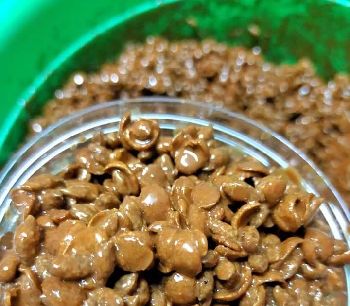 Resepi Chocojar Paling Mudah Dan Sedap