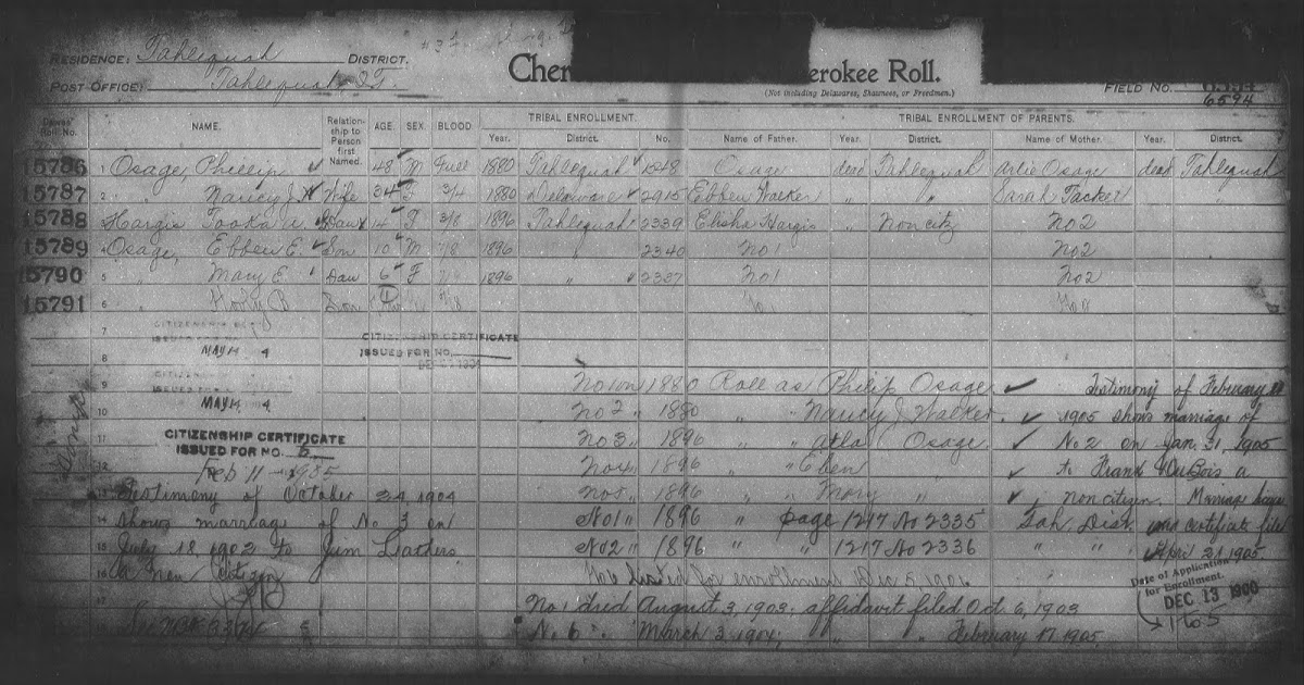 Thoughts from Polly's Granddaughter: Nancy Walker Dawes Census Card ...