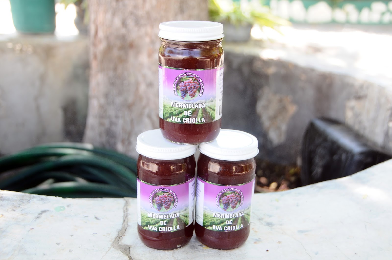 Destino designado : Las uvas de Neiba, ideales para hacer varios productos