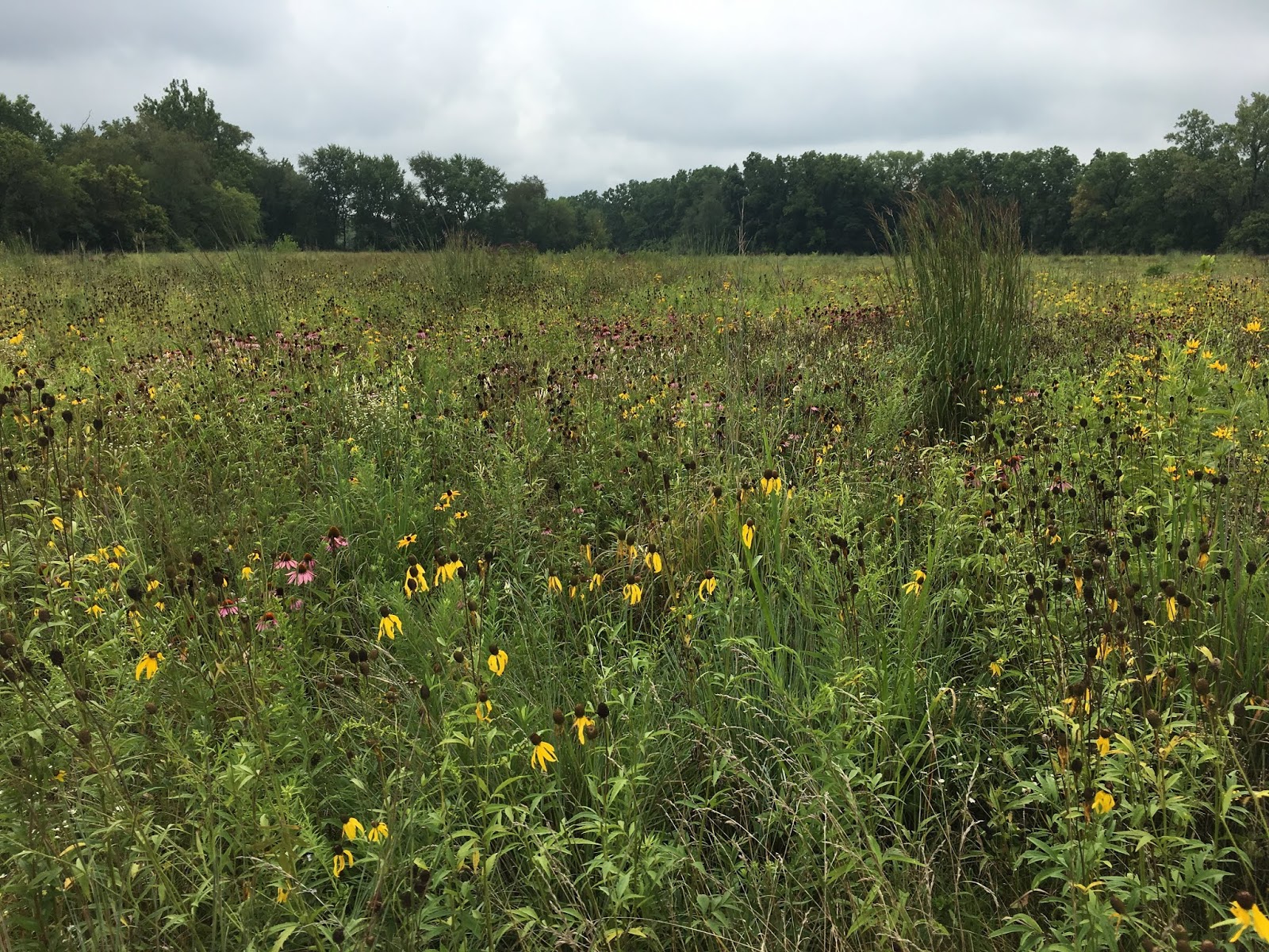 Opportunity Knocks: CRP General Signup Window Dec 9 - Feb 28