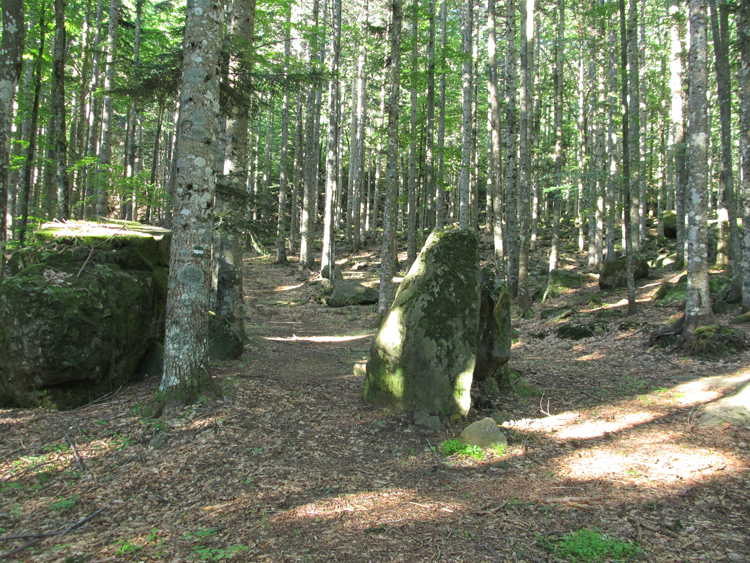 Escursionismo a 360°: Alpe Tre Potenze e Gomito (per il Lago del Greppo) EE