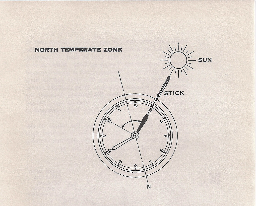 Finding Direction Without a Compass | Outdoor Quest