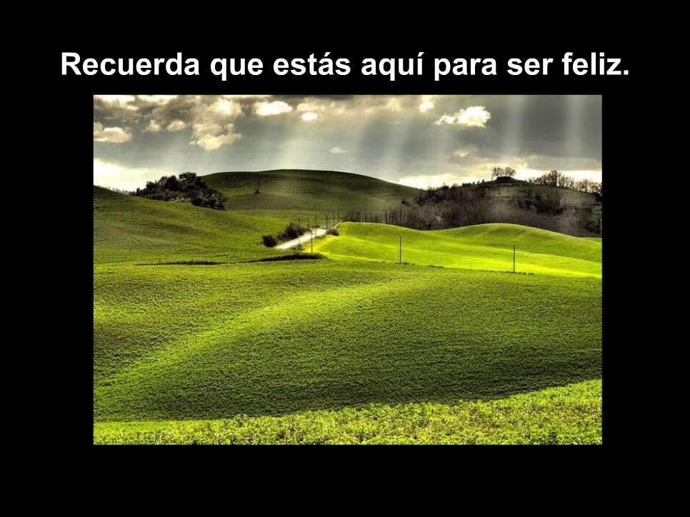 Bonao Internacional: SE FELIZ CON LO QUE TIENES , MIENTRAS PERSIGUE LO ... Bonao Internacional: SE FELIZ CON LO QUE TIENES , MIENTRAS PERSIGUE LO ...