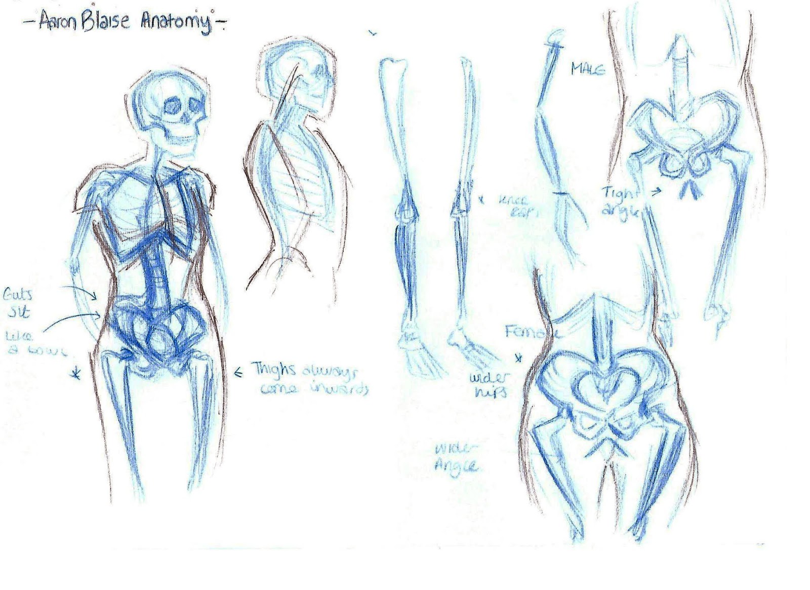 Drawing Human Anatomy - Part 1: The Skellington
