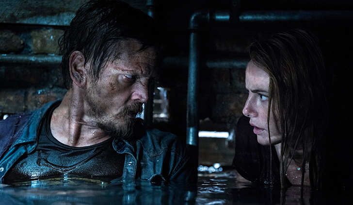 Crítica | Predadores Assassinos (Crawl, 2019) - Sangue Tipo B - Filmes ...