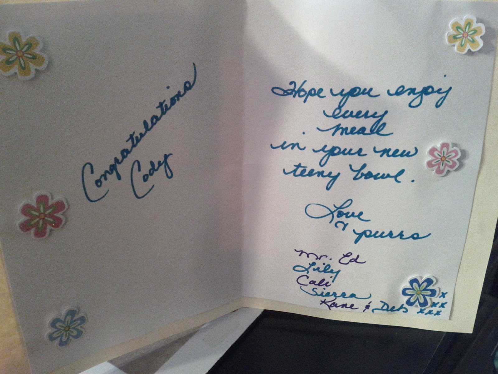 ewo kabeh: Thank You Deb At "Just Cats (In-Home Cat-Care)