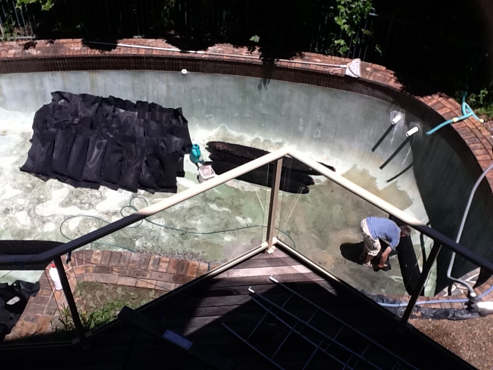 Beryl's natural swim pond: Pool conversion construction