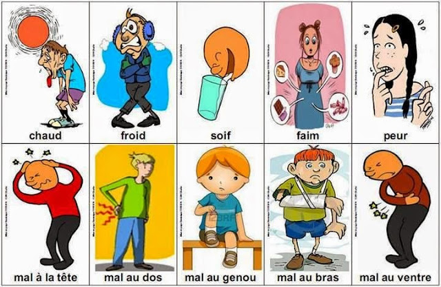2º ESO - Les Chouettes: Les sensations (faim, soif,mal,peur)