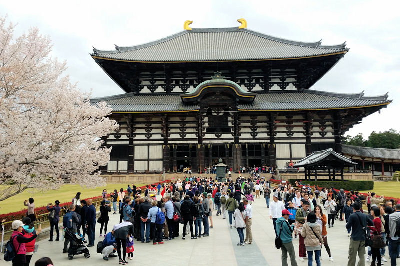 Yokoso Hanami: Philosophers path – Filosofin polku