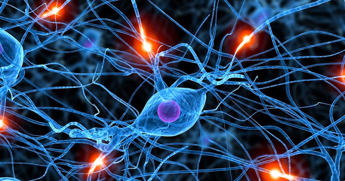 Redes Neuronales: Introducción