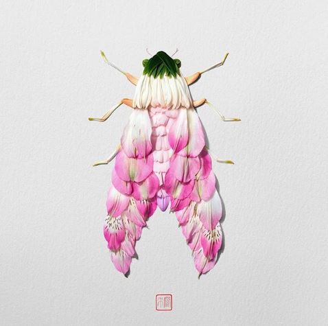 Insects made from petals and leaves by Reikan Creations!