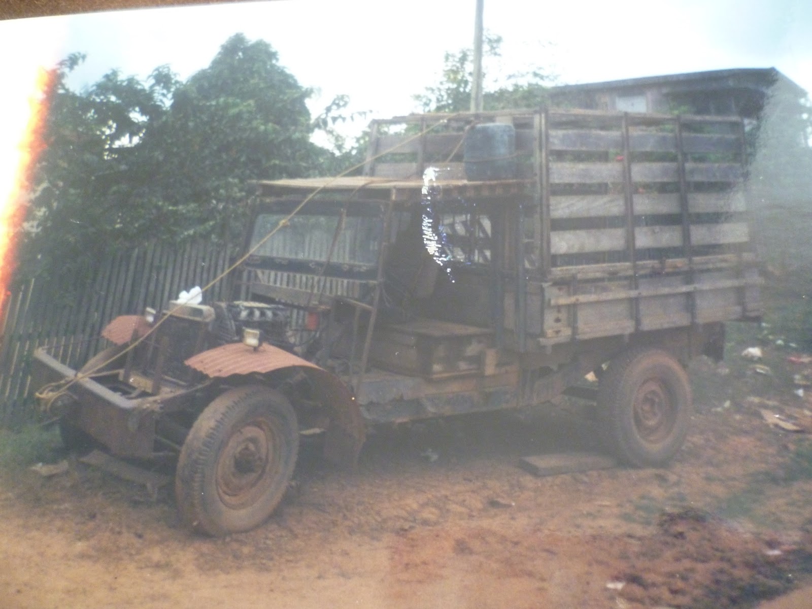 Coisas para andar, ver e sentir...: Jabiraca