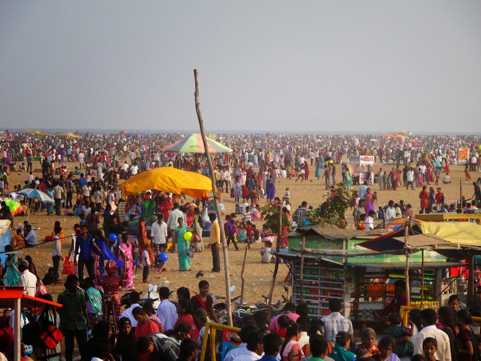 Legacy of Wisdom: Why do we celebrate Pongal or Makar Sankranti ...