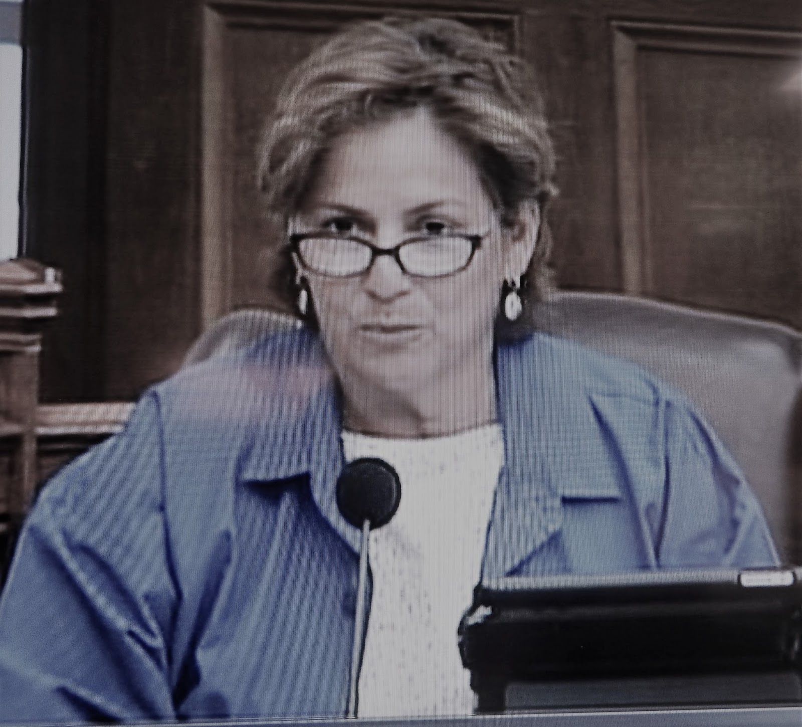 The Brownsville Observer: City Commission Gives Lukewarm, Tacit Support ...