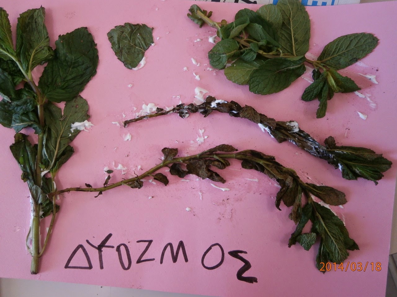 1ο Νηπιαγωγείο Αγ. Μαρίνας Τσαλικάκι: Μαρτίου 2014
