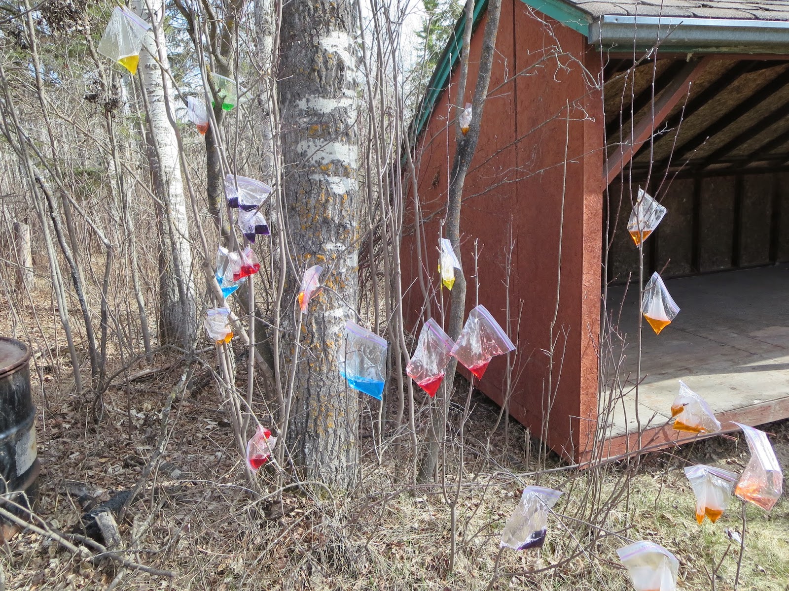 Girl Guide for Change: Make it Monday: Jello in a Tree!