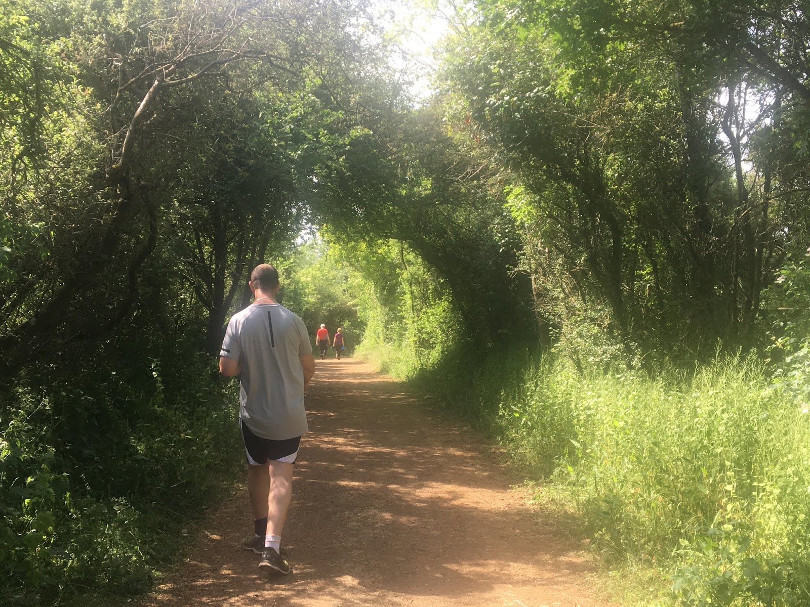 Bicester to Trow Pools