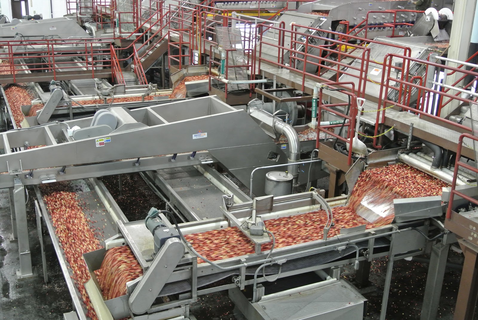 Everyday is a New Day: Cranberry Seasons