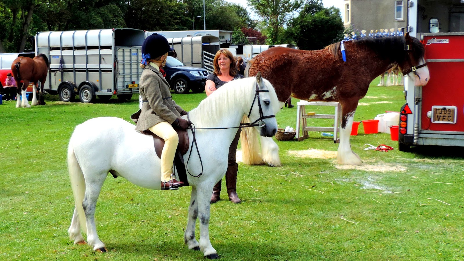 The Glebe Blog: The Stranraer Show 2013