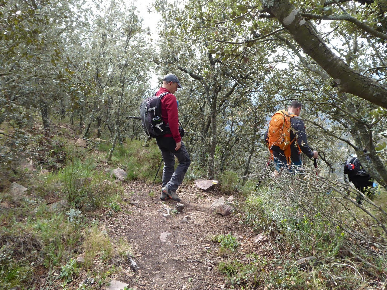 2019 - 04 Aín, Penya Pastor, Gurugú, Pico Espadán, Collado Íbola ...