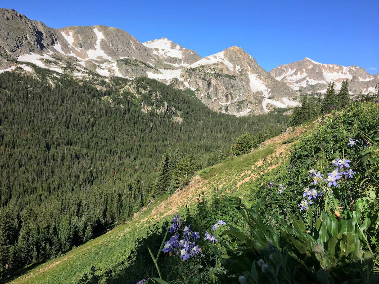 Paper Mountain Parcels: Thinking Of You