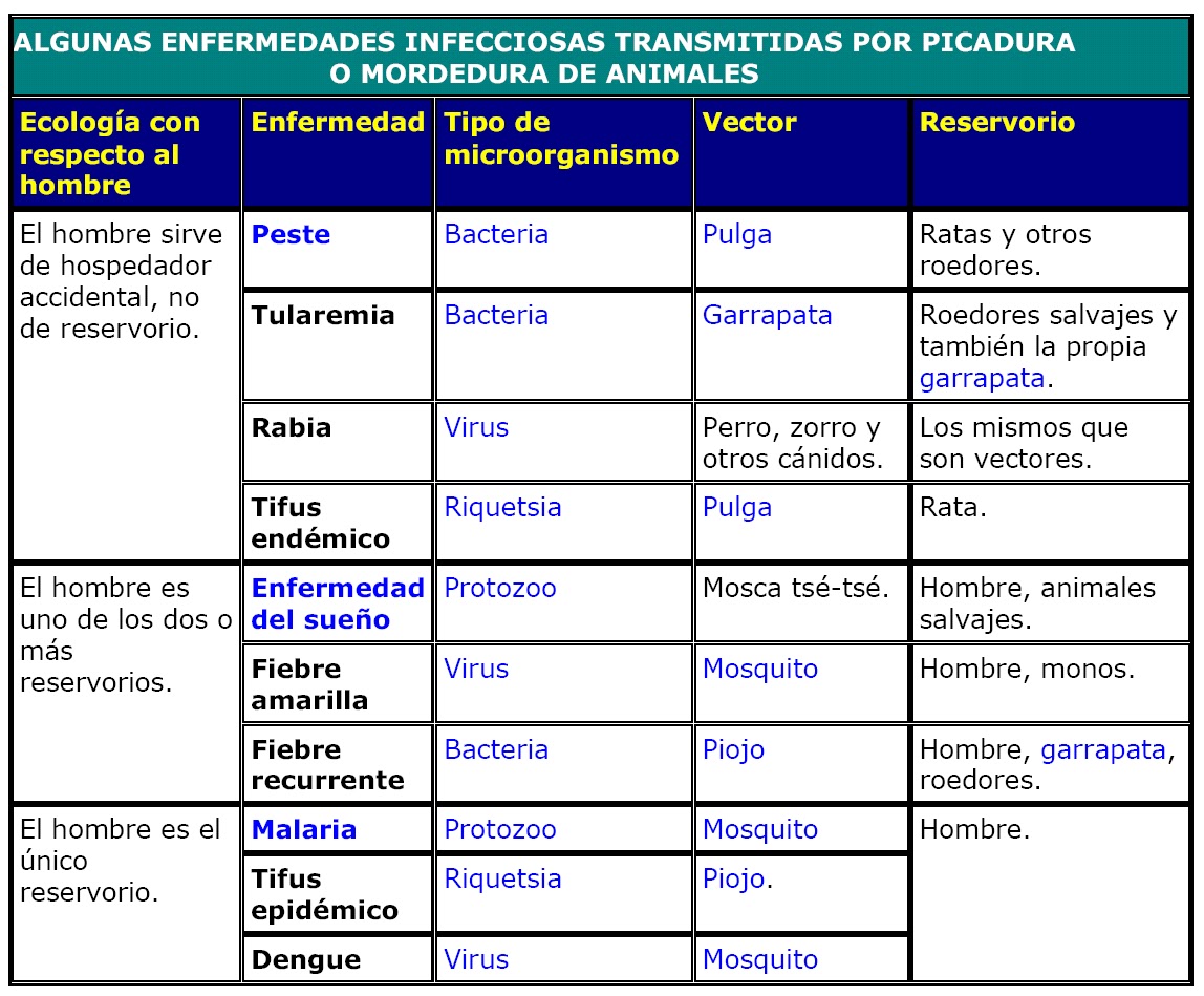 Enfermedades infecciosas transmitidas por vectores: Grafico de las ...