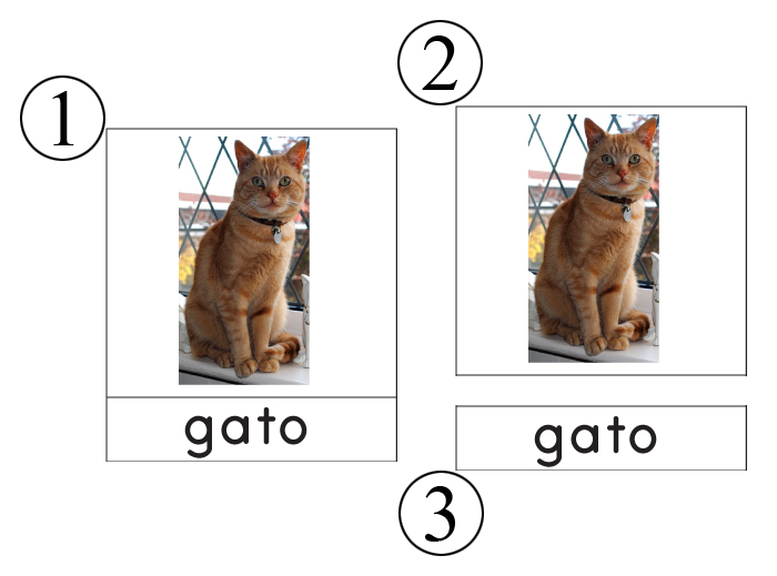 Spanish Language 3 Part Cards | Totschooling - Toddler, Preschool ...