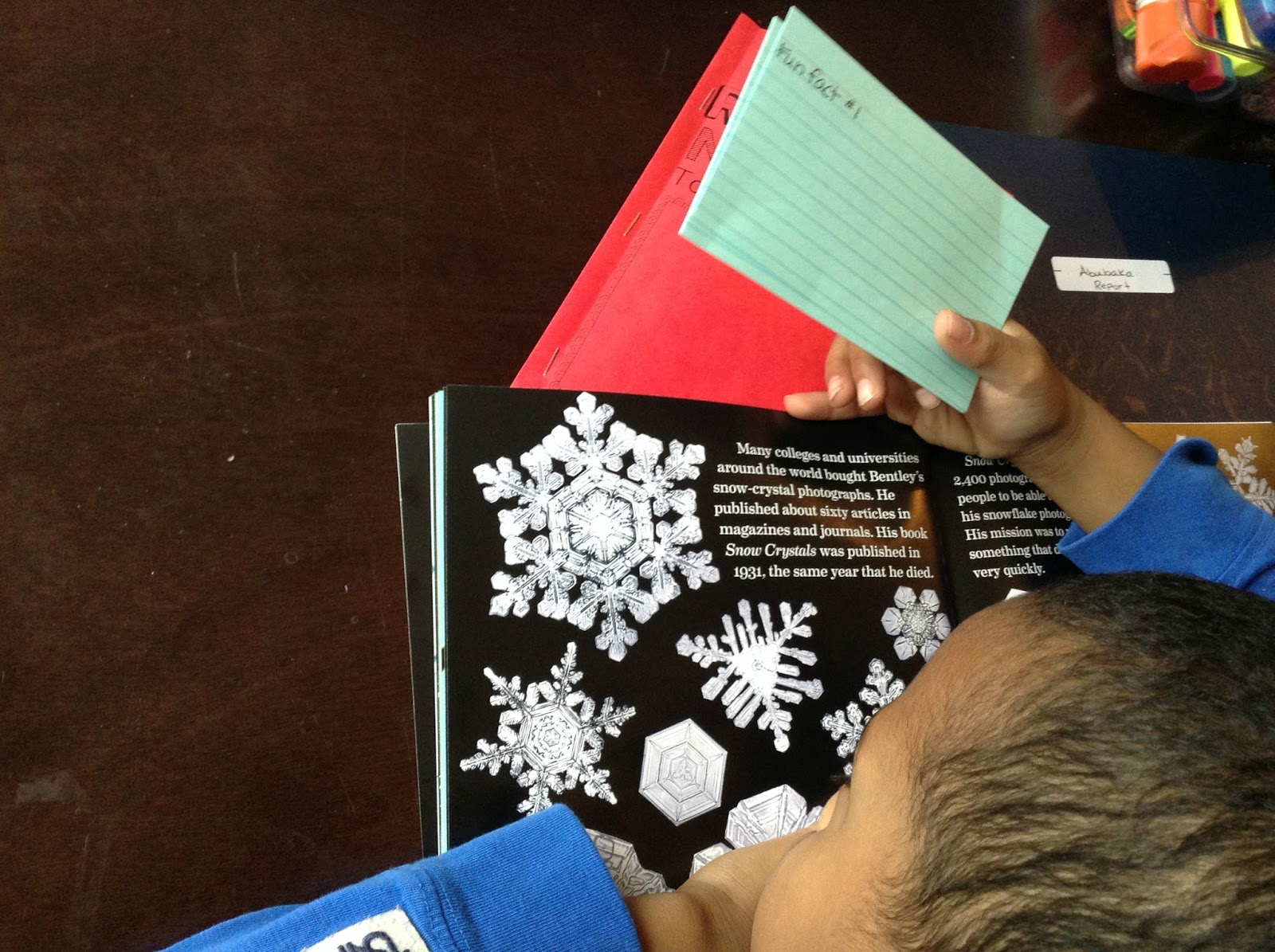 TeacherMomPlus3: Wilson 'Snowflake' Bentley Biography Study