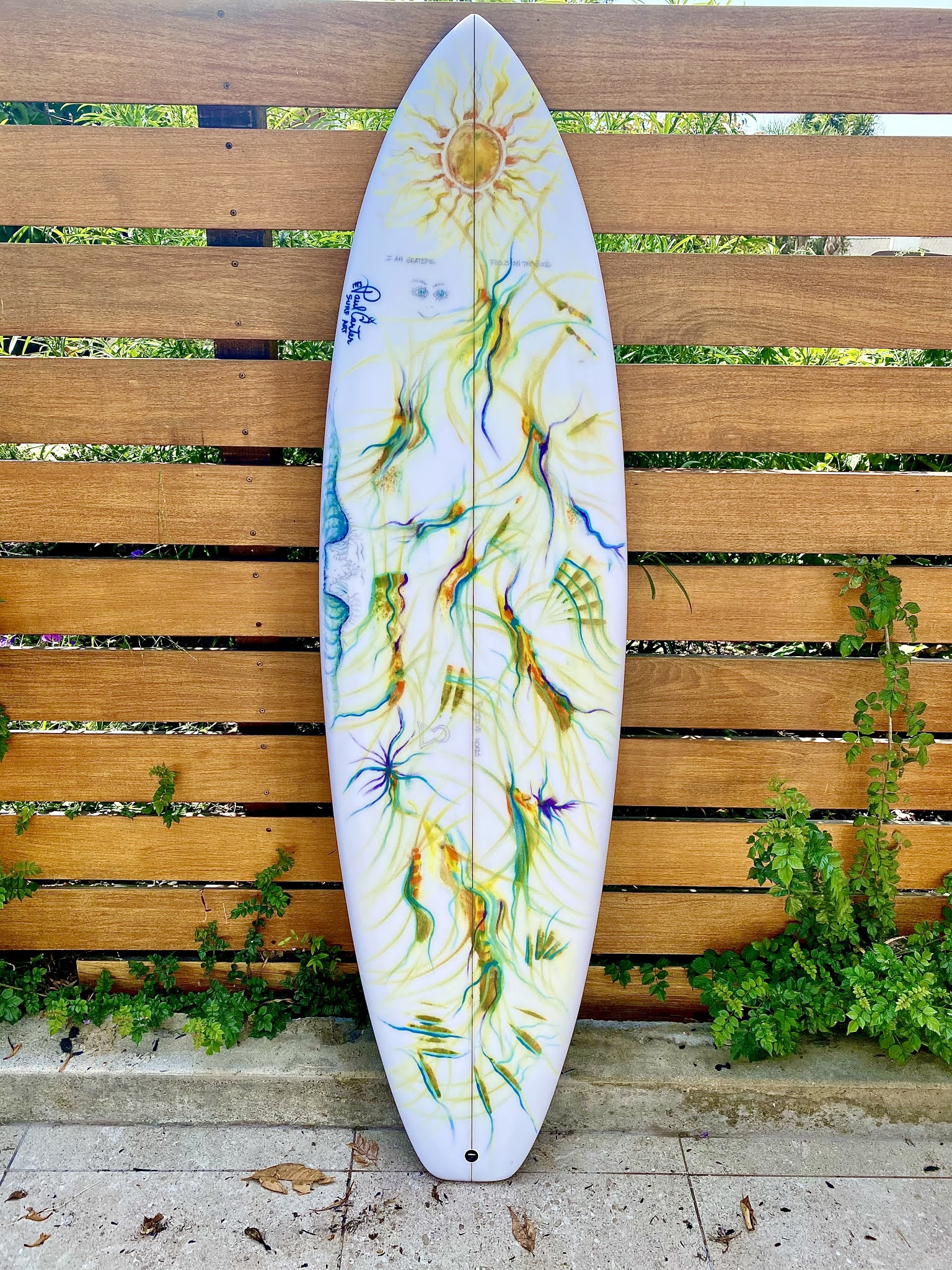 Surfer-Shaper-Artist : New boards & art Paul Carter