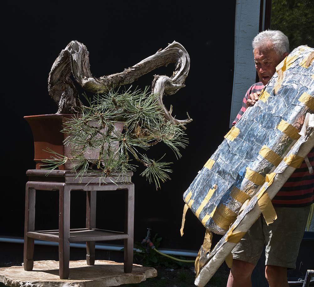 Walter Pall Bonsai Adventures: How do these photographs happen?