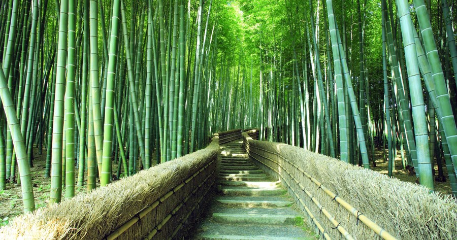 Il parquet in bamboo