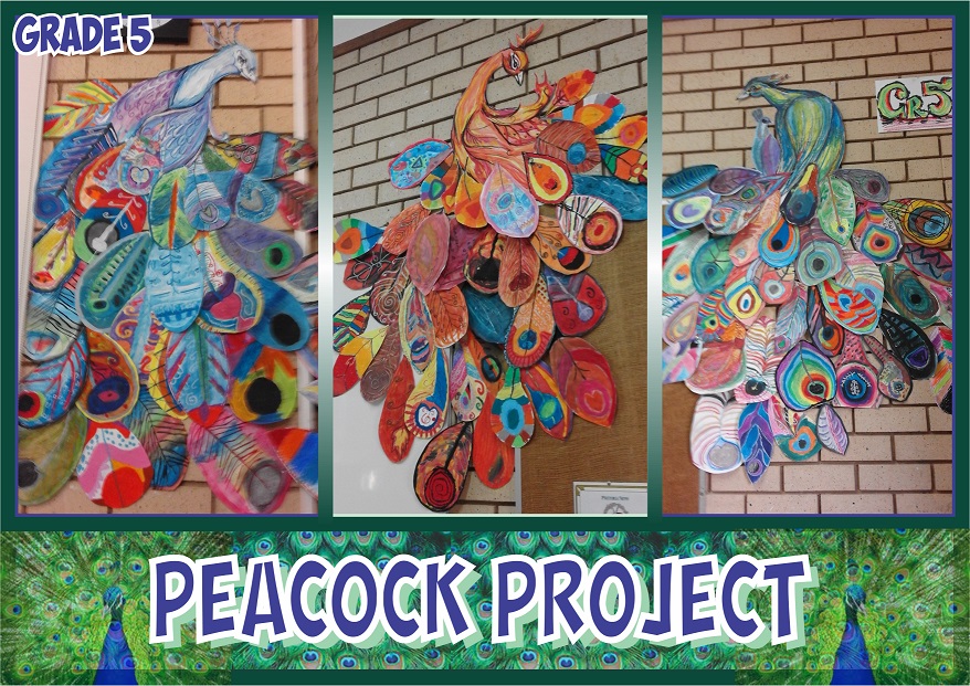 Pretoria Chinese School of Blog: Gr 5 Peacock feather project - photo ...