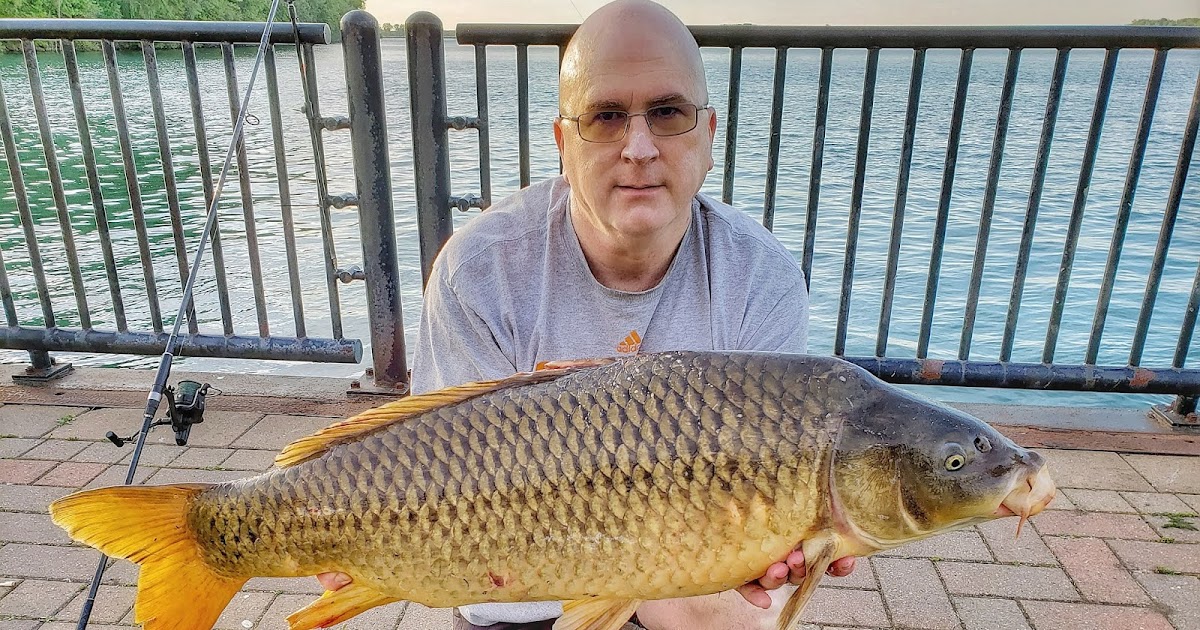 Michigan Carp Fishing Blog: 8 Tips for Detroit River Carp Fishing